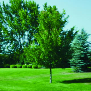 Builders™ Vinyl (V-2500) Windows: Fixed Half Round | Reliable and ...