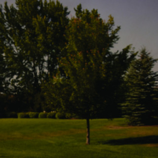 Premium™ Vinyl (V-4500) Windows: Double-Hung | Reliable and Energy ...