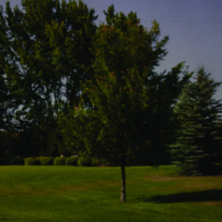 Reliable and Energy Efficient Doors and Windows | JELD-WEN Windows & Doors