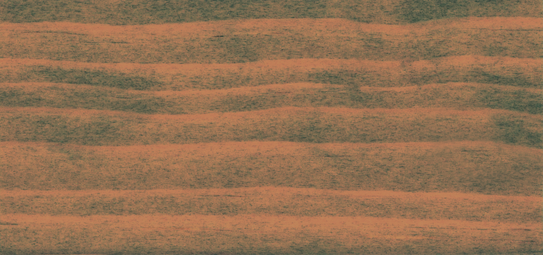 Custom Wood Windows: Double-Hung | Reliable and Energy Efficient Doors ...