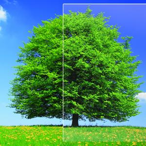 The MODA® Collection Interior Doors: PM1055 | Reliable and Energy ...